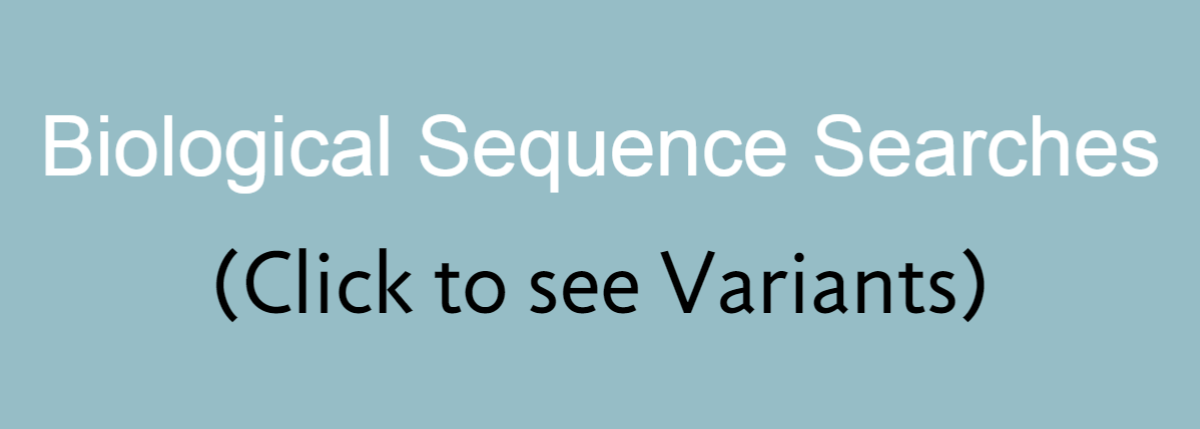 The Patent Search Services - U.S. Patent Searching - The Patent Search ...