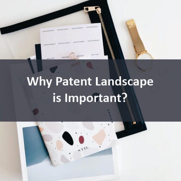 Why Patent Landscape is Important? - U.S. Patent Searching - The Patent ...